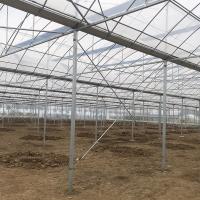 China Customizable Temperature-Controlled Greenhouse for Large-Scale Plant Cultivation for sale