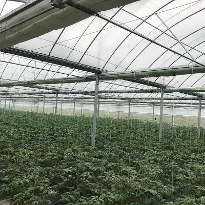 中国 大規模な植物の栽培のための調整可能な温度制御温室 販売のため