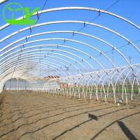 Quality Large Height 3-10m Polytunnel Greenhouse The Ideal Growing Environment for Your for sale