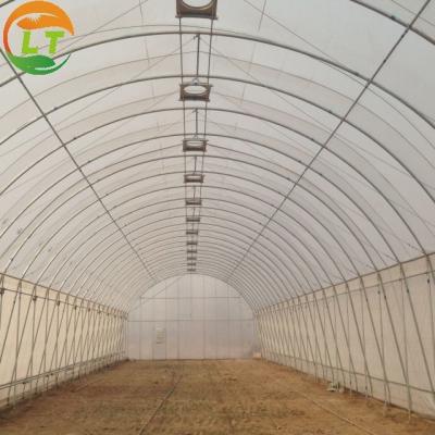 Cina Serre agricola a una sola lunghezza per la coltivazione di ortaggi, frutti e fiori in vendita