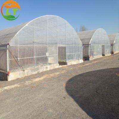 Cina Serre agricola a una sola lunghezza per la coltivazione di ortaggi, frutti e fiori in vendita