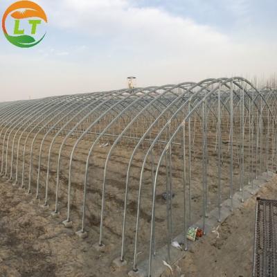 Cina Serre agricola a una sola lunghezza per la coltivazione di ortaggi, frutti e fiori in vendita