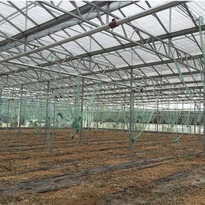 中国 炭酸ガラス構造と安装が簡単な農業温室の完全なセット 販売のため