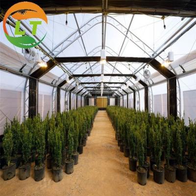 Cina Ventilazione a lati personalizzabili Funghi serra per la produzione tutto l'anno in vendita