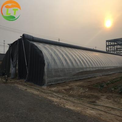 Cina Ventilazione a lati personalizzabili Funghi serra per la produzione tutto l'anno in vendita