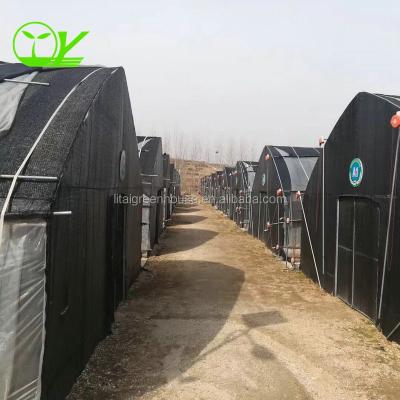Cina Serre agricole a lunghezza singola per una struttura commerciale stabile, facilmente assemblate in vendita