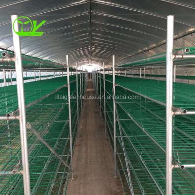 Cina Serre agricole a lunghezza singola per una struttura commerciale stabile, facilmente assemblate in vendita