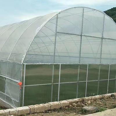 Cina Serra agricola a pellicola di polietilene multi-spans con sistema di controllo automatico in vendita