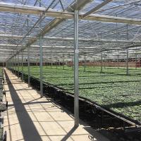 China Multi Span Polytene Film Agricultural Greenhouse with Automatic Controlling System for sale