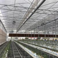 China Multi Span Polytene Film Agricultural Greenhouse with Automatic Controlling System for sale