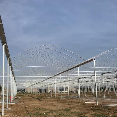 Cina Serra agricola a pellicola di polietilene multi-spans con sistema di controllo automatico in vendita