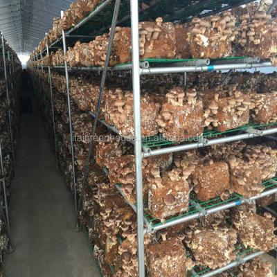 Cina Progettazione della serra per l'allevamento di piccoli pesci e di pollame Lunghezza personalizzabile in vendita