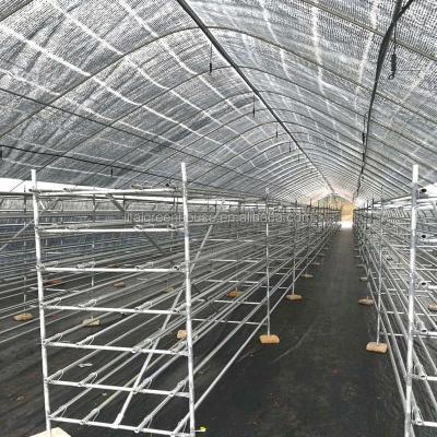 Cina Progettazione della serra per l'allevamento di piccoli pesci e di pollame Lunghezza personalizzabile in vendita