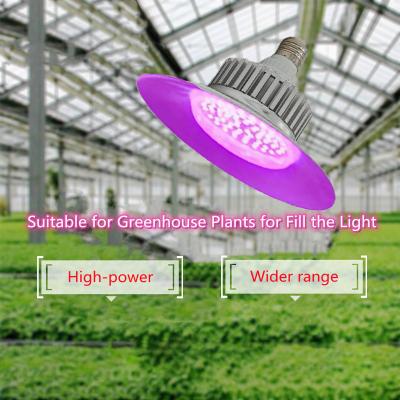 Cina Lampada per la crescita delle piante a LED a spettro completo Lampada complementare ad alta potenza in vendita