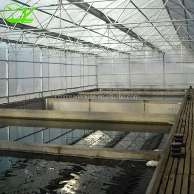 Cina Serra a colori personalizzati per la progettazione e l' efficienza delle aziende avicole in vendita
