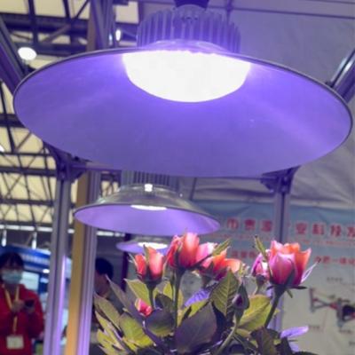 Cina Lampada per la crescita delle piante a LED a spettro completo Lampada complementare ad alta potenza in vendita