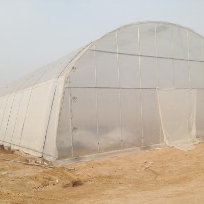 Cina Serra a colori personalizzati per la progettazione e l' efficienza delle aziende avicole in vendita