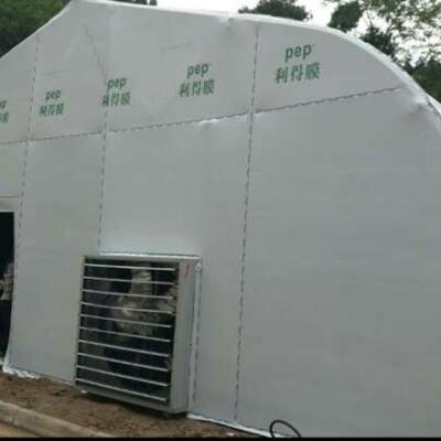 Cina Serra agricola a singolo tratto Mini serra a funghi con irrigazione facoltativa in vendita