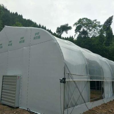 Cina Serra agricola a singolo tratto Mini serra a funghi con irrigazione facoltativa in vendita