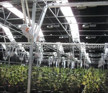 Cina Ortaggi Frutti Fiori Agricoltura Deprivazione di luce Serra con capannone di plastica in vendita