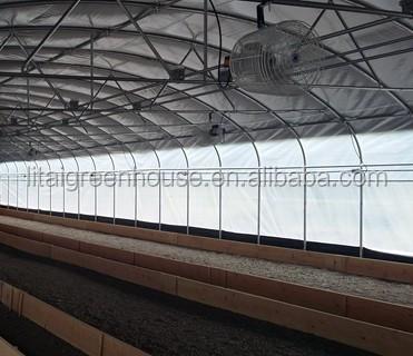 Cina Ortaggi Frutti Fiori Agricoltura Deprivazione di luce Serra con capannone di plastica in vendita