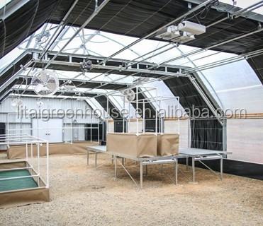 Cina Ortaggi Frutti Fiori Agricoltura Deprivazione di luce Serra con capannone di plastica in vendita