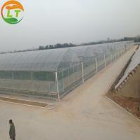 China Multi-Span Agricultural Greenhouses Gutter Height for Optimal Temperature Control for sale