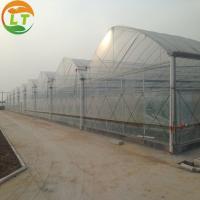 China Multi-Span Agricultural Greenhouses Gutter Height for Optimal Temperature Control for sale