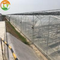 China Multi-Span Agricultural Greenhouses Gutter Height for Optimal Temperature Control for sale