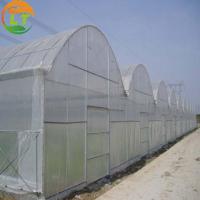 China Multi-Span Agricultural Greenhouses Gutter Height for Optimal Temperature Control for sale
