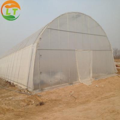 Cina Ventilazione per 150/200micro PE film coperto serra in azienda avicola in vendita