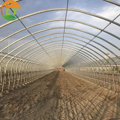 Cina Ventilazione per 150/200micro PE film coperto serra in azienda avicola in vendita