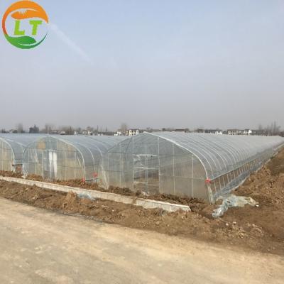 Cina Ventilazione per 150/200micro PE film coperto serra in azienda avicola in vendita