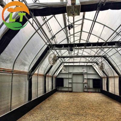 Cina PE Film Blackout Light Deprivation Serra per soluzioni agricole su piccola scala in vendita