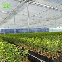 Quality Multi Span Greenhouse for sale