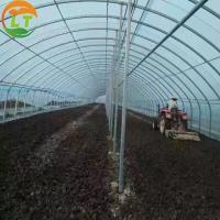 China High Output Attractive Single Span Greenhouse With Stable Structure for sale
