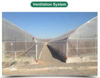 China High Output Attractive Single Span Greenhouse With Stable Structure for sale