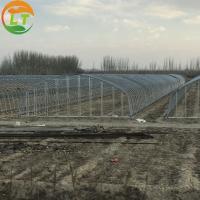 China High Output Attractive Single Span Greenhouse With Stable Structure for sale