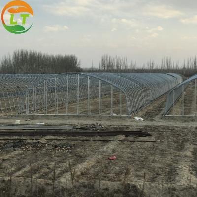 Cina Serra attraente ad alto rendimento con struttura stabile in vendita