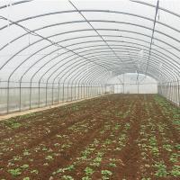 China High Output Attractive Single Span Greenhouse With Stable Structure for sale