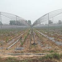 China High Output Attractive Single Span Greenhouse With Stable Structure for sale