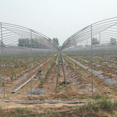 Cina Serra attraente ad alto rendimento con struttura stabile in vendita