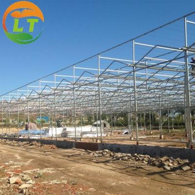 Cina Il sistema di serra e irrigazione di Litai la soluzione perfetta per l'agricoltura moderna in vendita