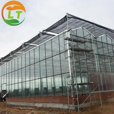 Cina Il sistema di serra e irrigazione di Litai la soluzione perfetta per l'agricoltura moderna in vendita
