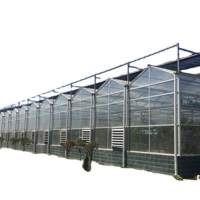 Cina Instruzioni agricole per serre in vetro multi-span con resistenza super forte in vendita