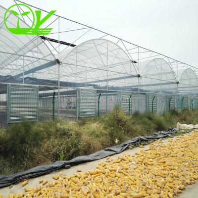 China Optimal Aquaponics Hydroponic System Greenhouse with Single Layer and 3.0-4.5m Height for sale