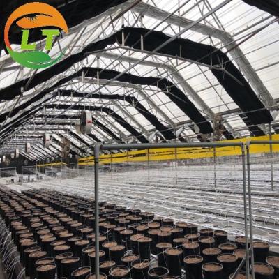 Cina Tenda di coltivazione in serra per serre agricole a una sola estensione e coltivazione in interno in vendita