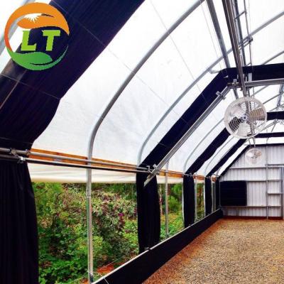 Cina Massimizza la tua agricoltura Agricoltura con verdure ventilate Coltivazione in serra in vendita