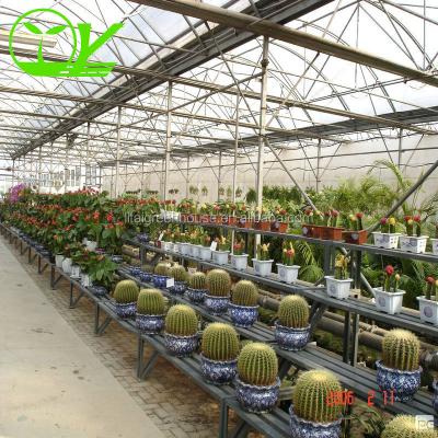 China Hydroponic Farming Agriculture Greenhouse with 8m Wide Span and Transparent Design for sale