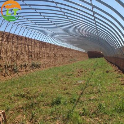 Cina Serra di pomodori prefabbricata a sfera solare in stile cinese con telaio in metallo per esterno e agricoltura in vendita